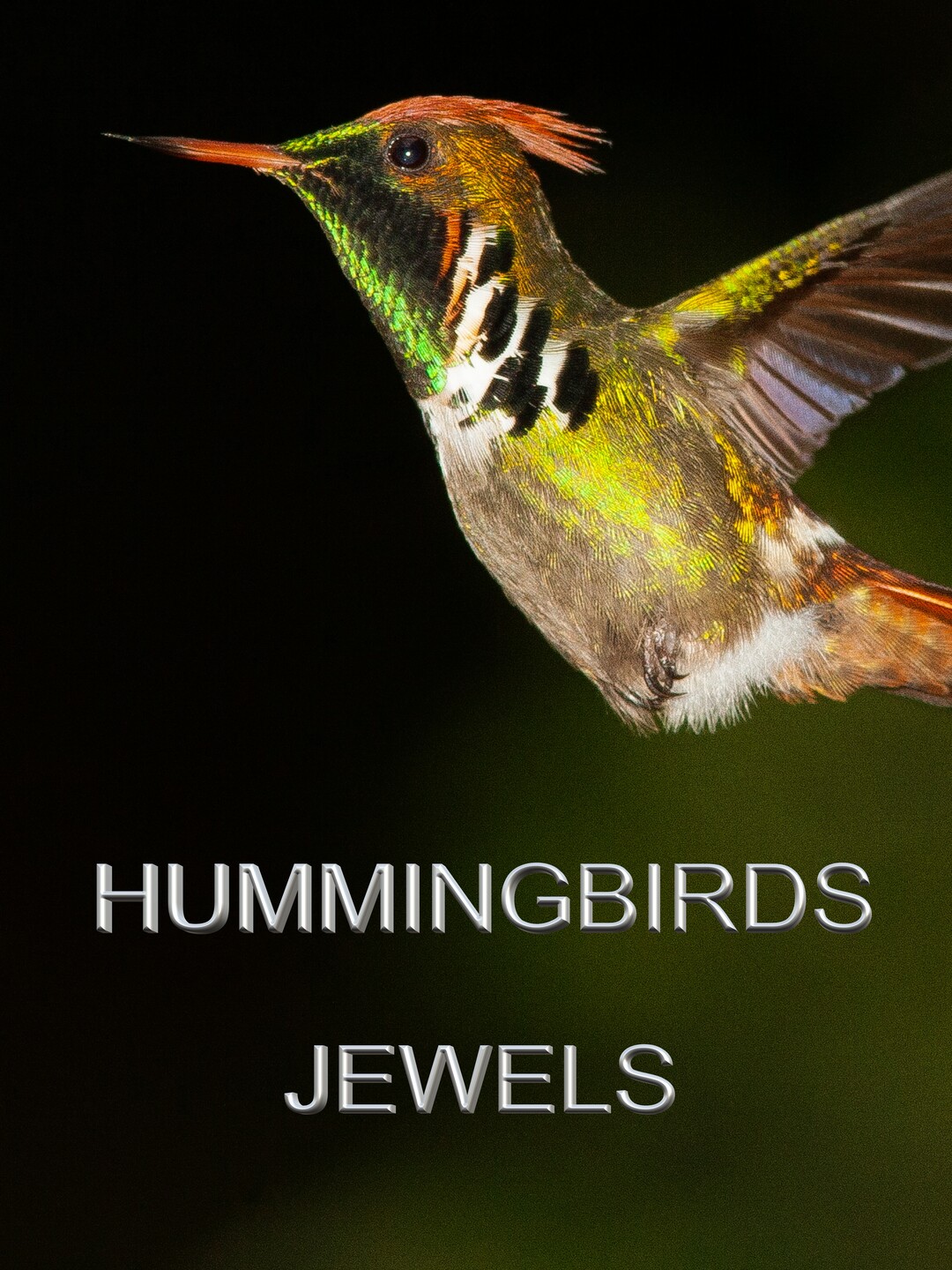 Hummingbirds Jewels (movie, 2018)