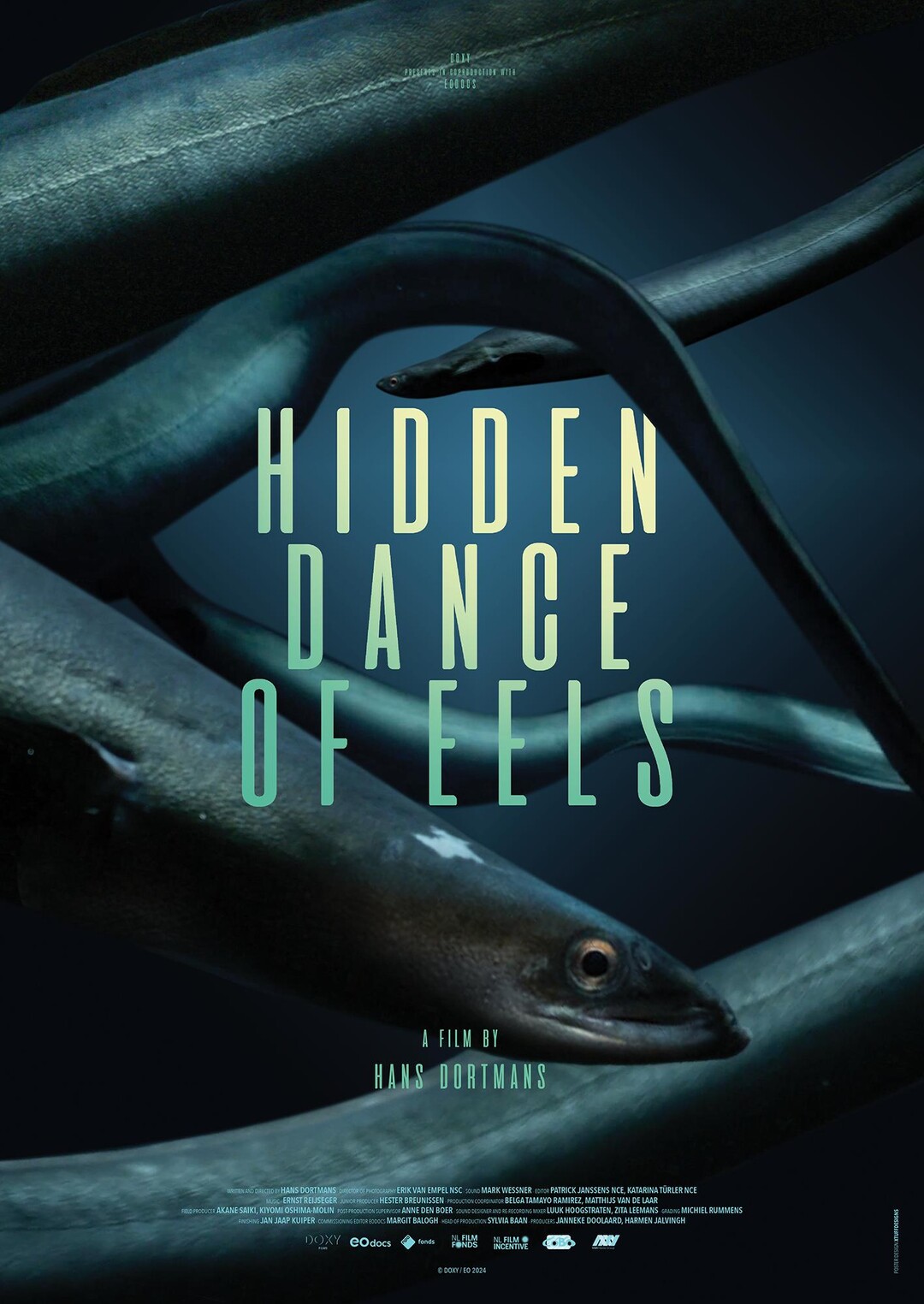Hidden Dance of Eels (movie, 2024)