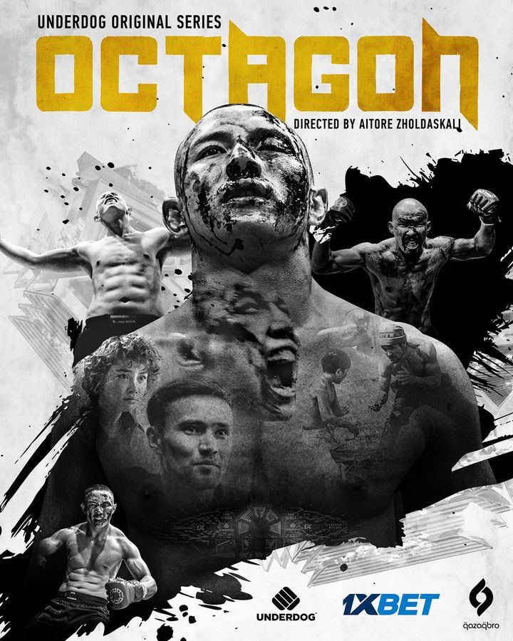 Posters - Octagon