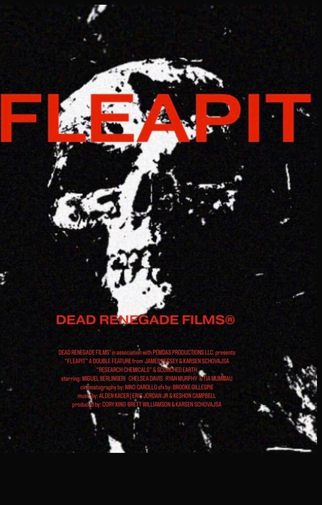 Fleapit (movie, 2024)
