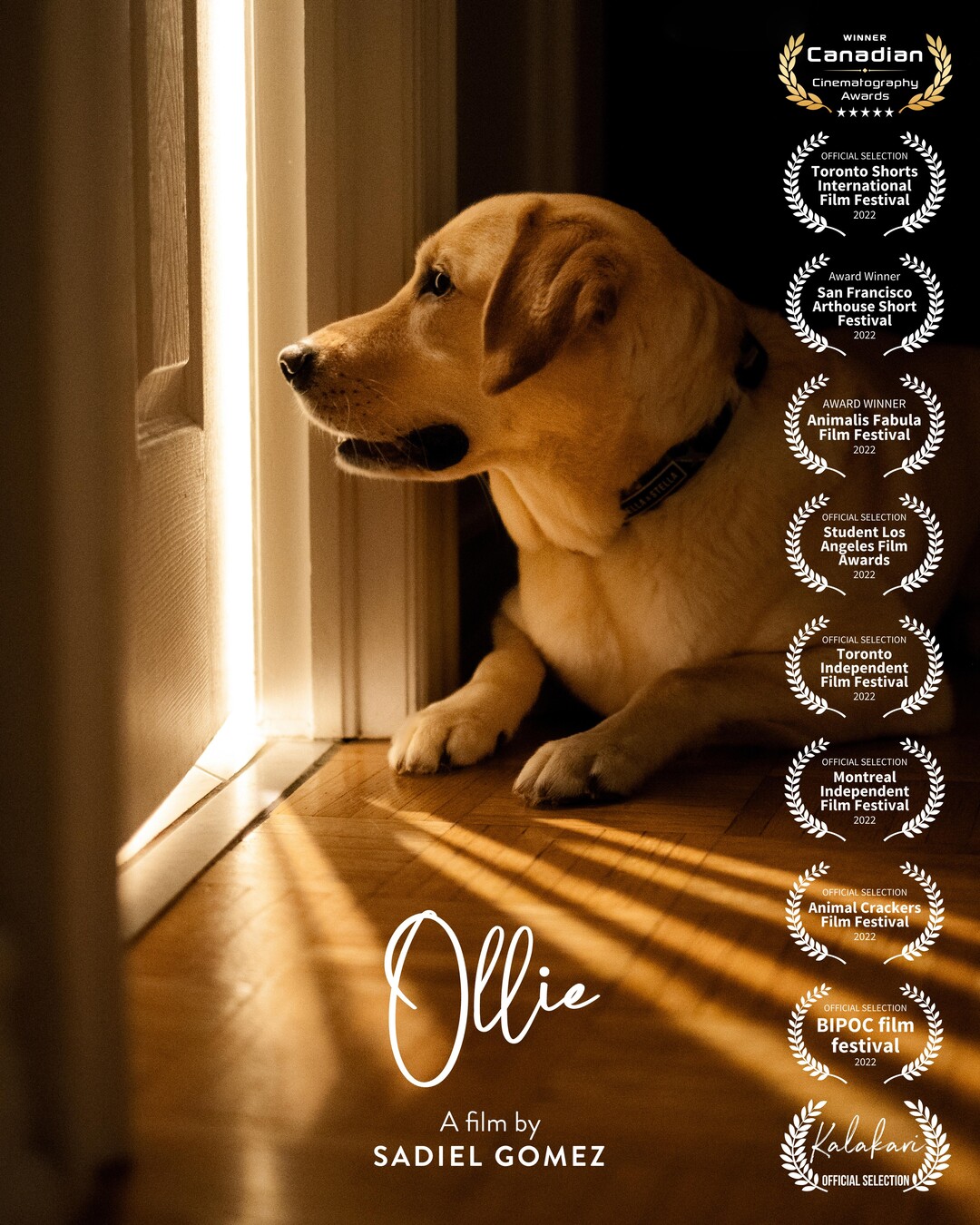 Cast - Ollie (2022)