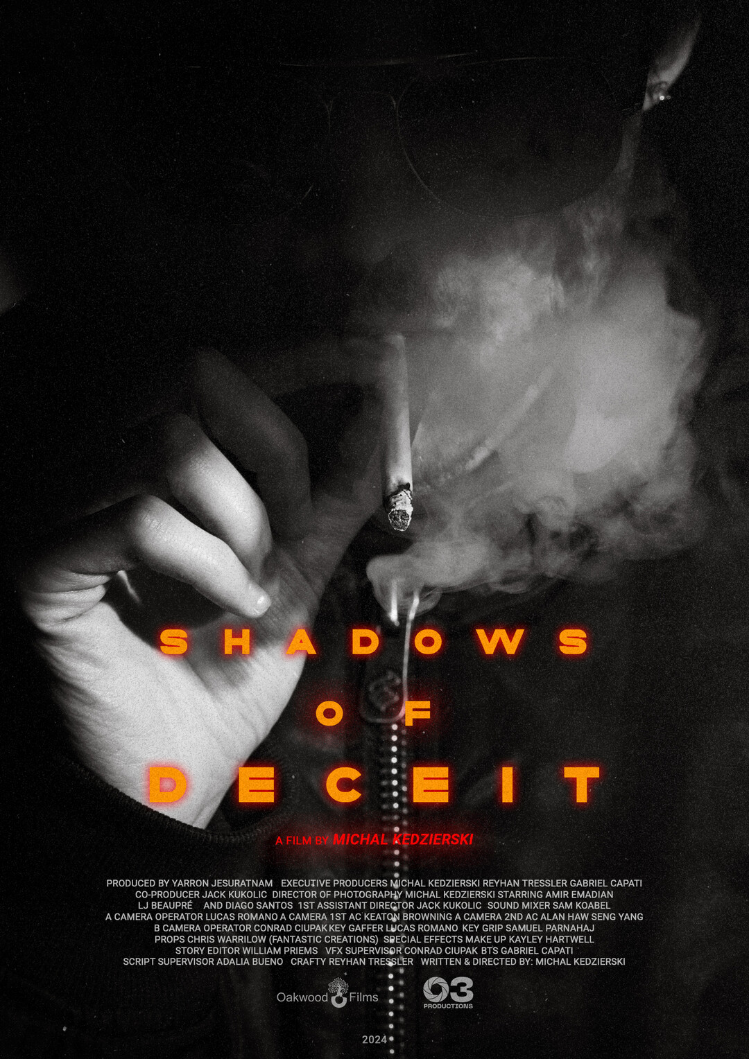 Shadows of Deceit (movie, 2024)