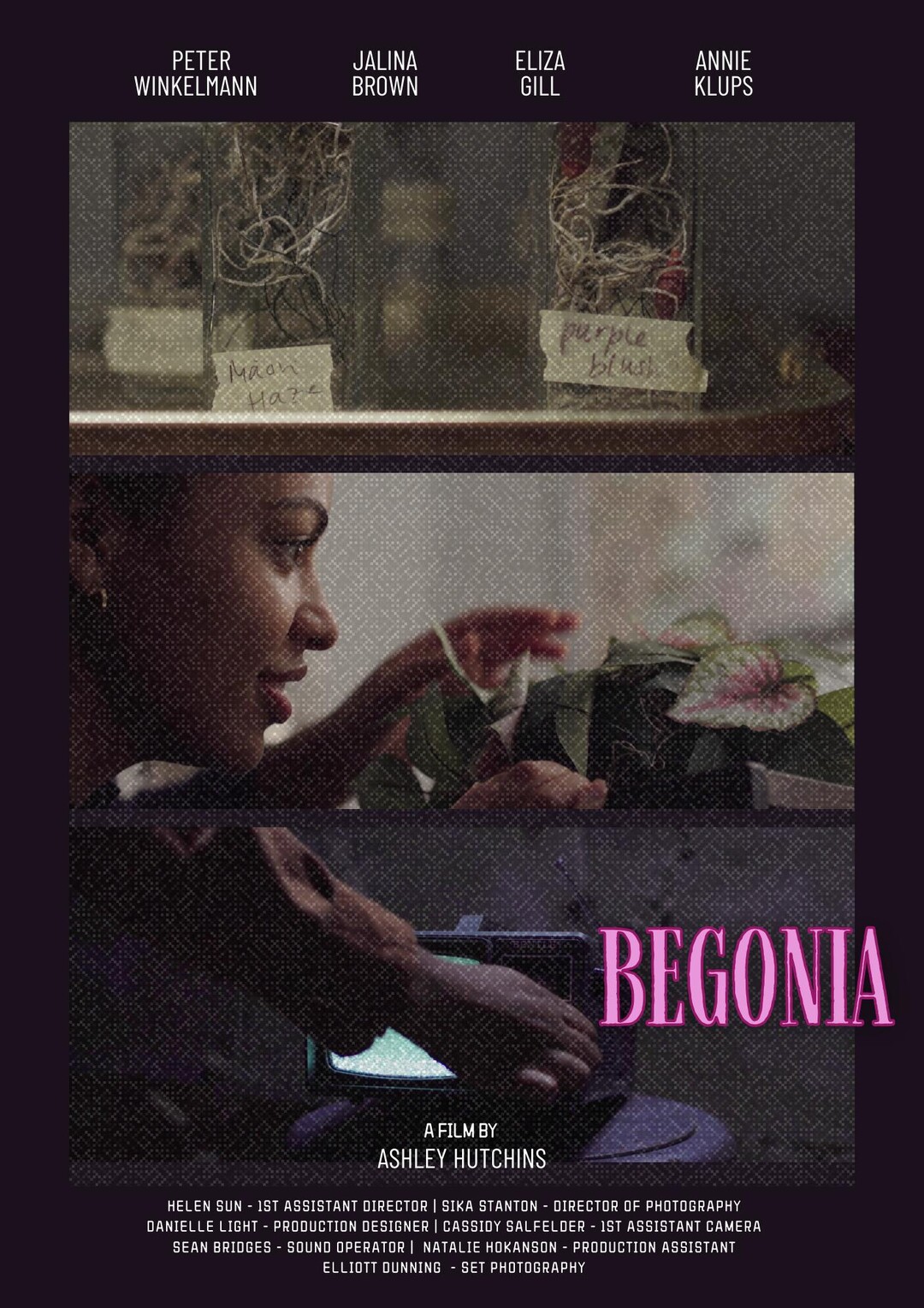 Begonia (movie, 2022)