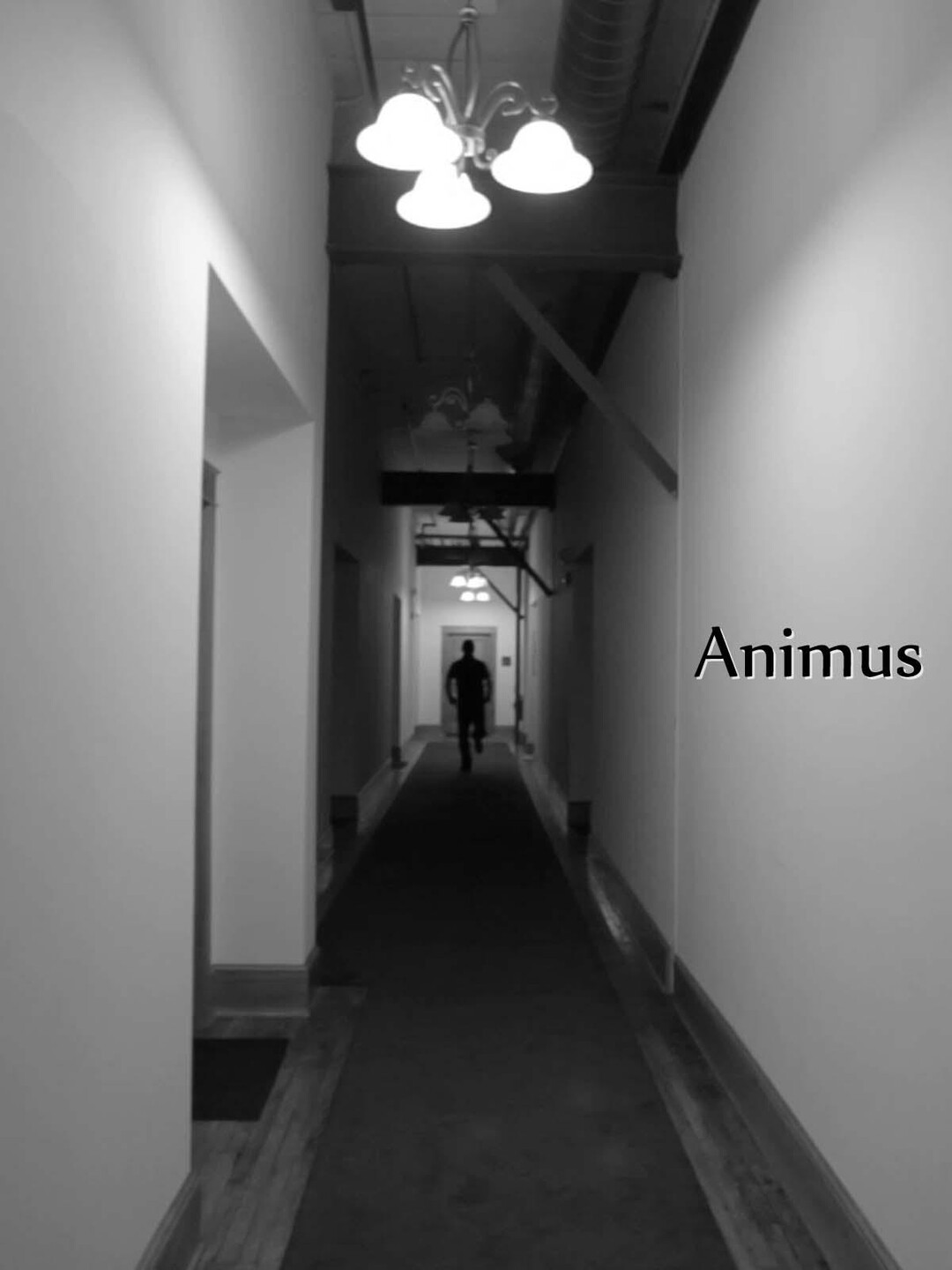 Animus (movie, 2013)