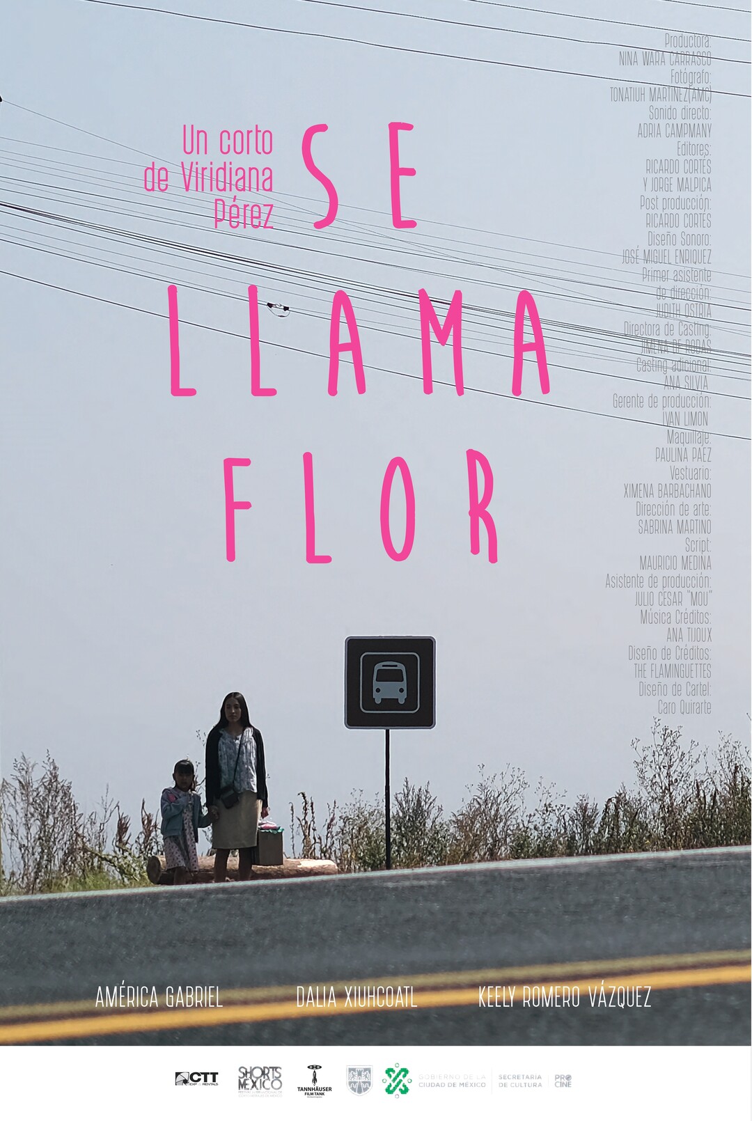 Se llama Flor (movie, 2020)