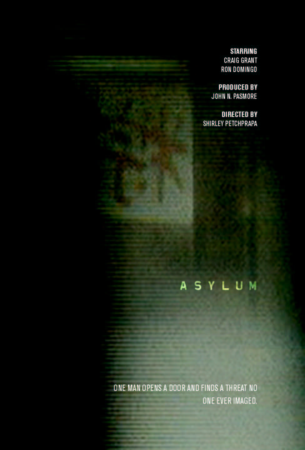 Asylum (movie, 2008)