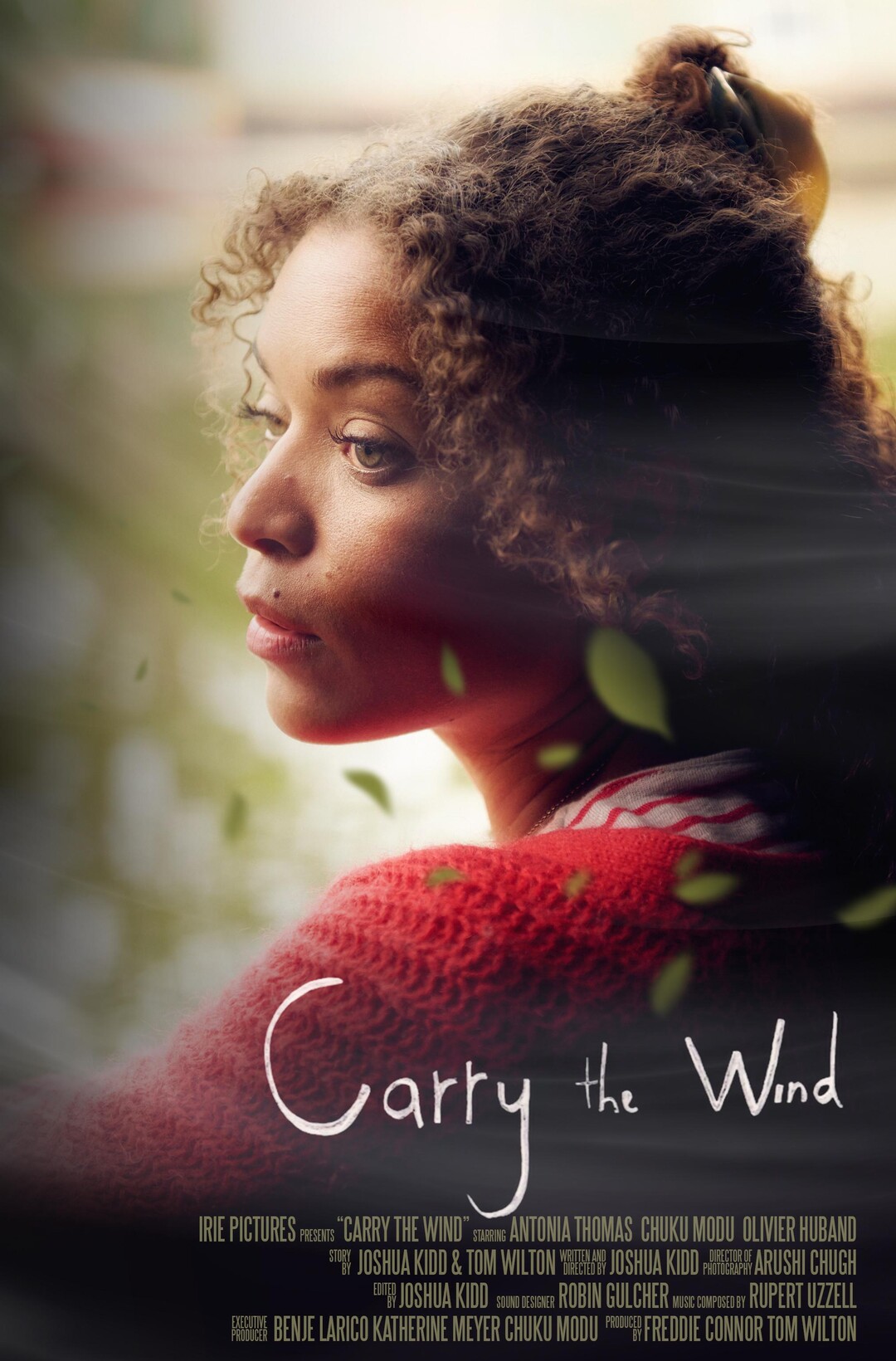 Carry the Wind (movie, 2024)