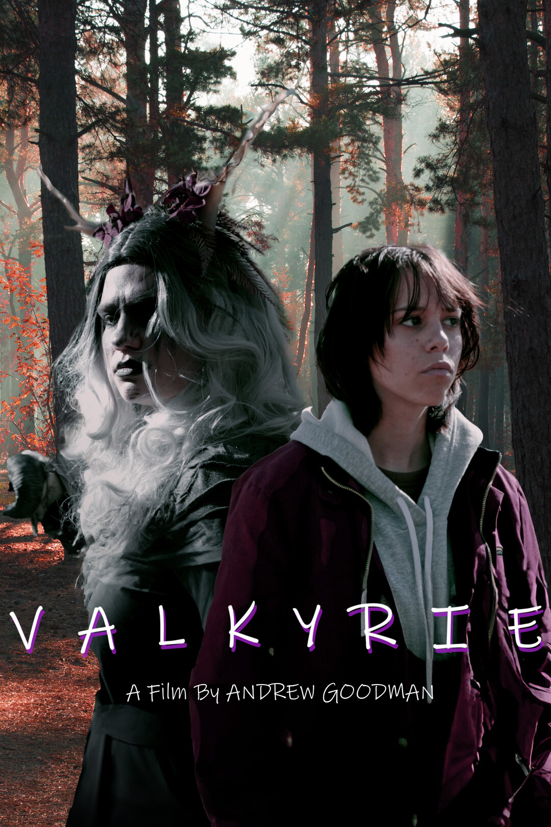 Valkyrie (movie, 2024)