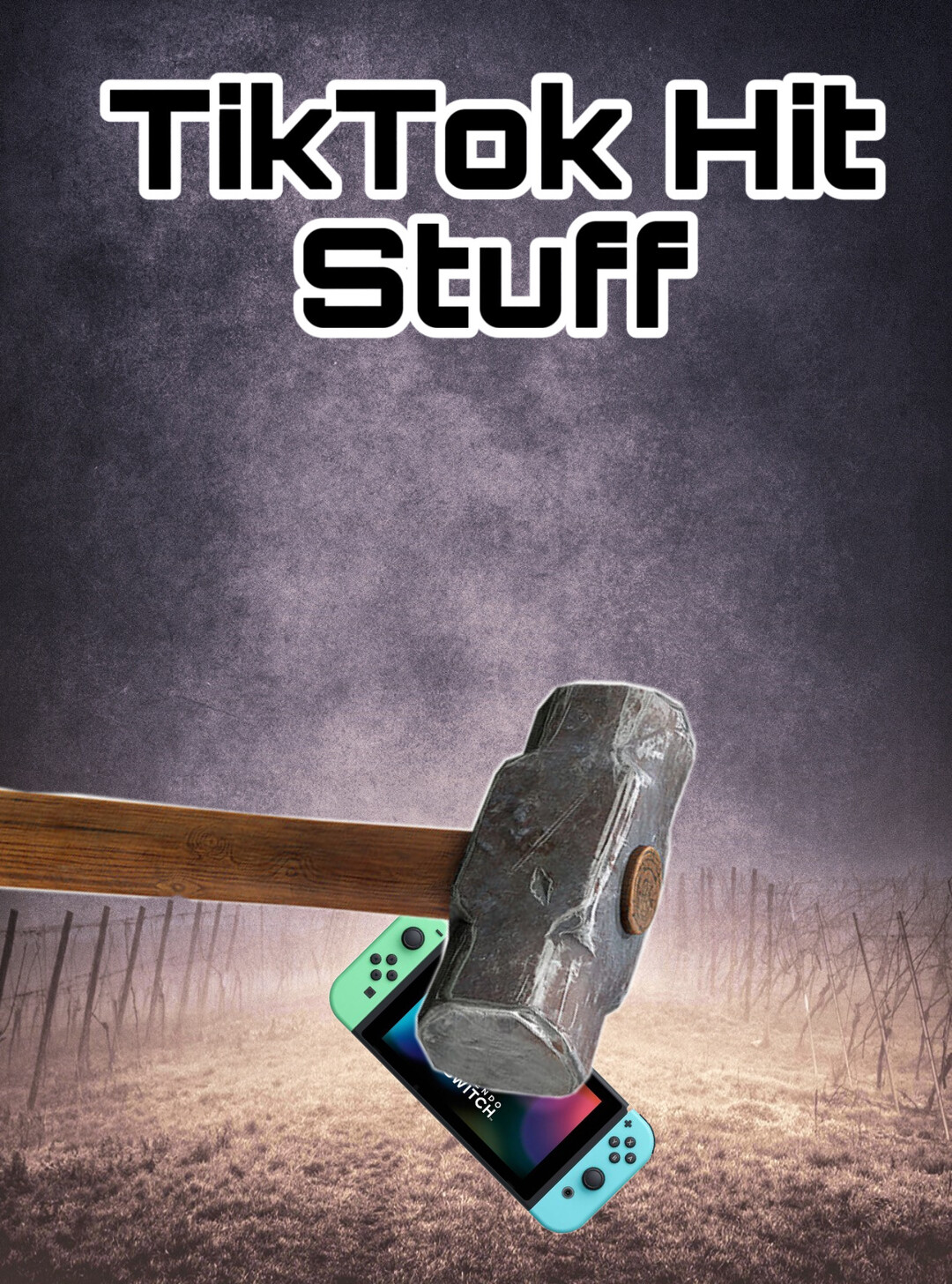 TikTok Hit Stuff (movie, 2024)