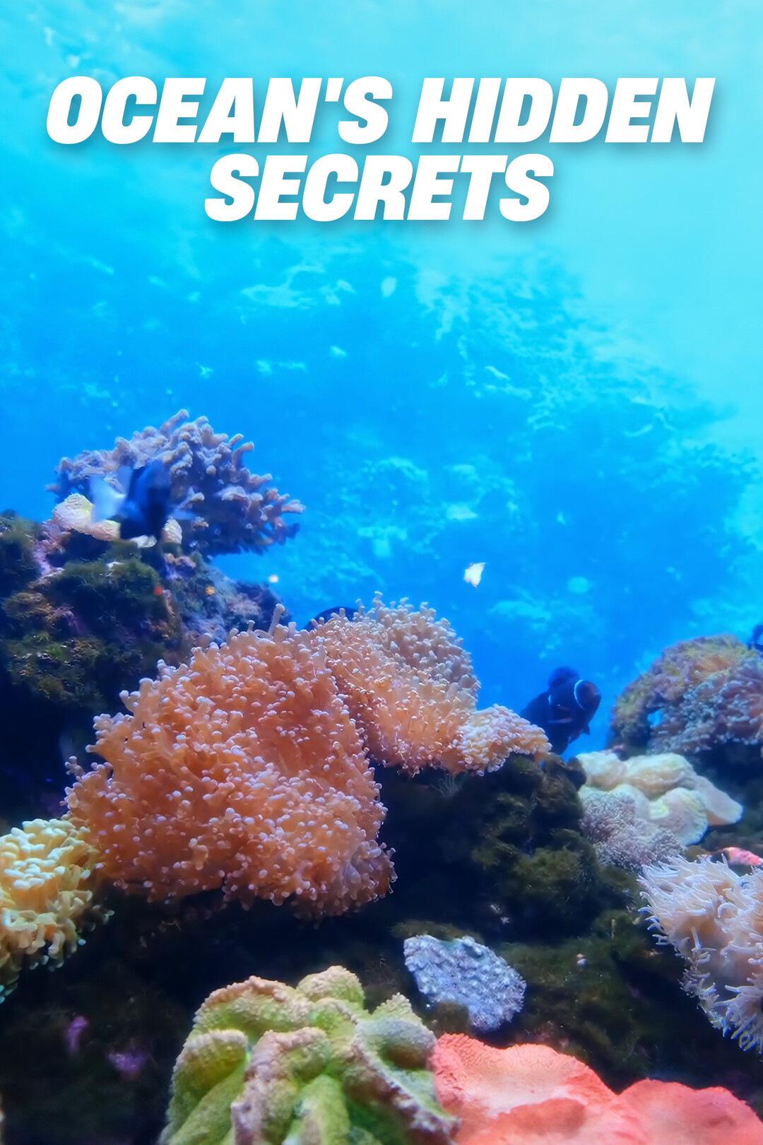 Cast - Ocean's Hidden Secrets (2023)