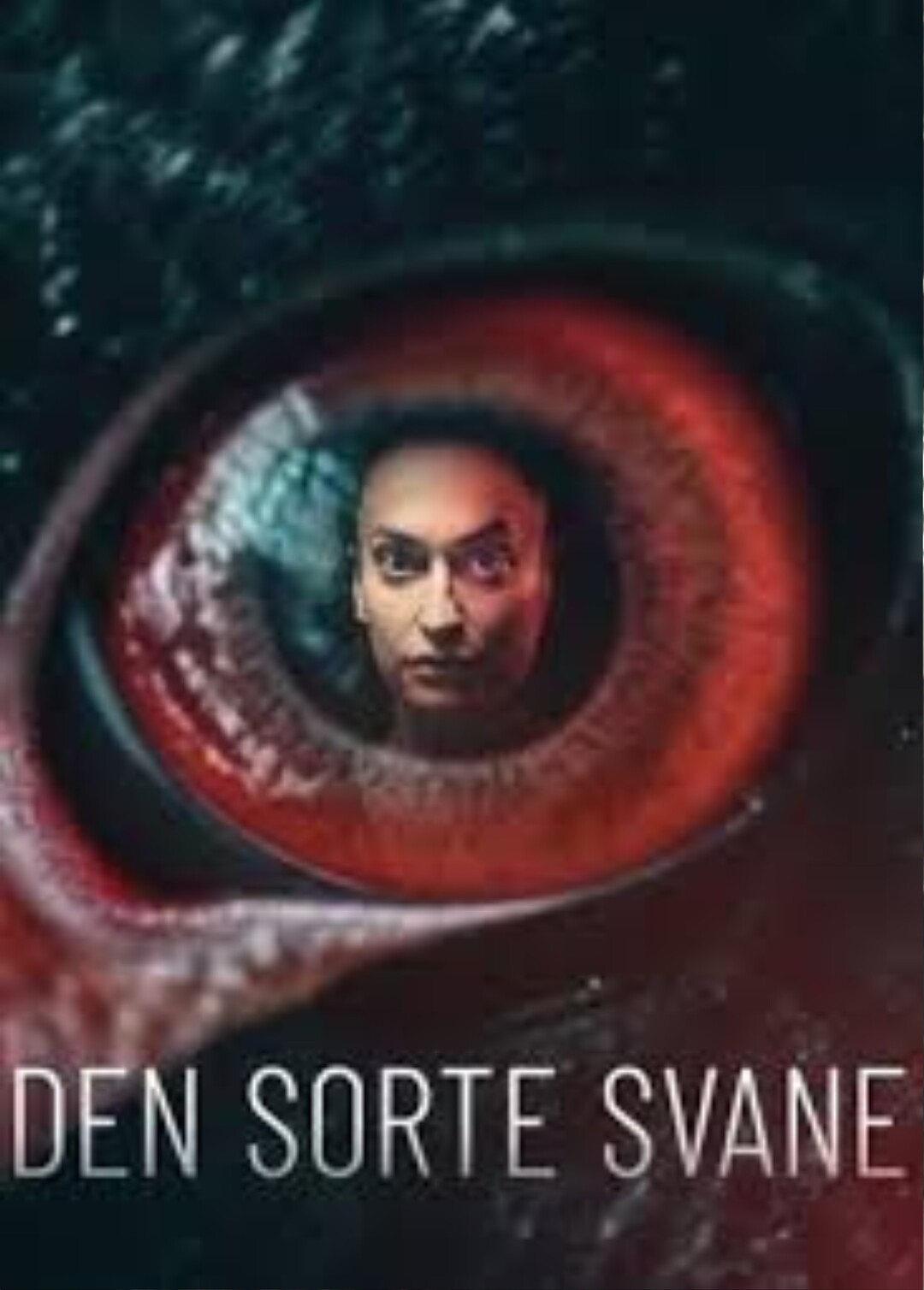 Den sorte svane (mini-series, 2024)