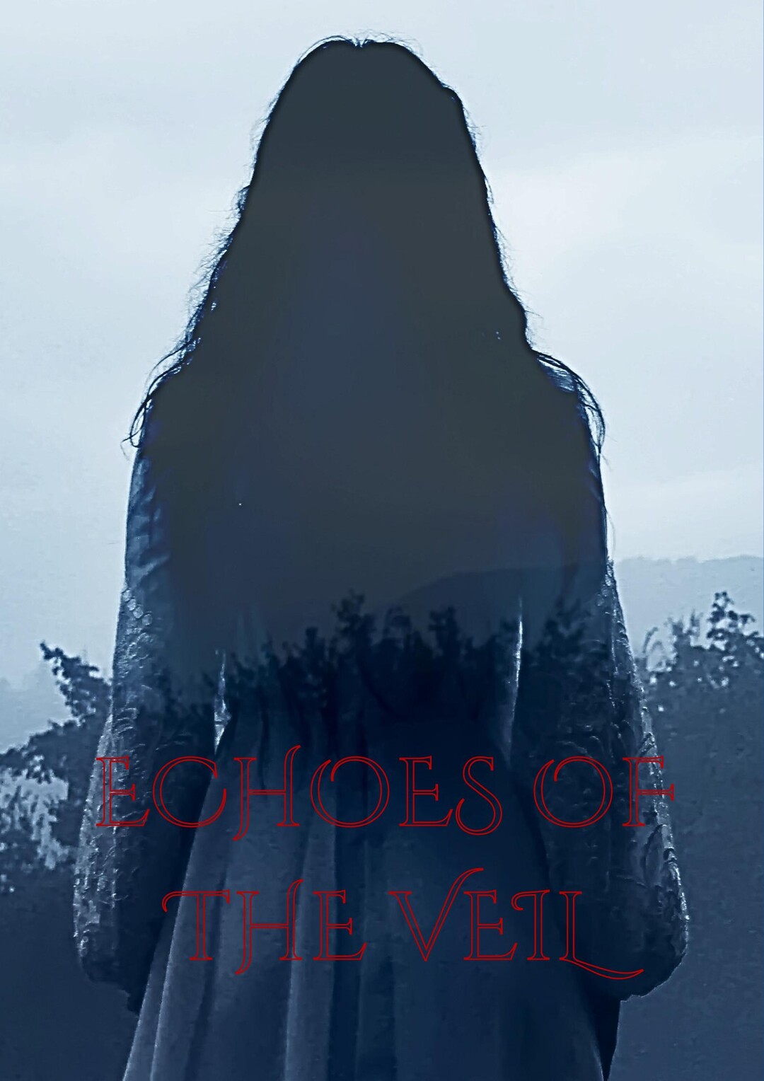 Echoes of the Veil (movie)