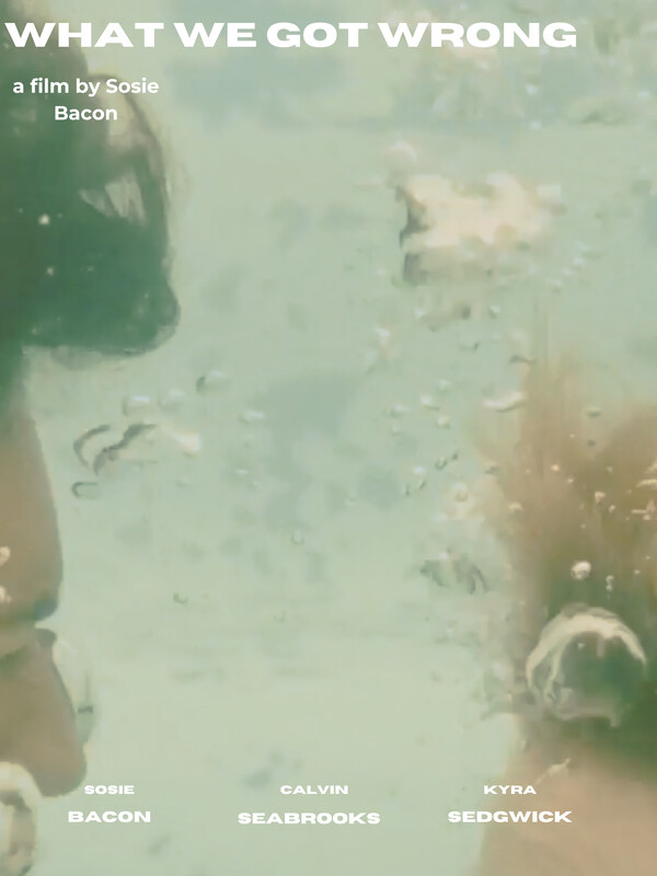 What We Got Wrong (movie, 2024)