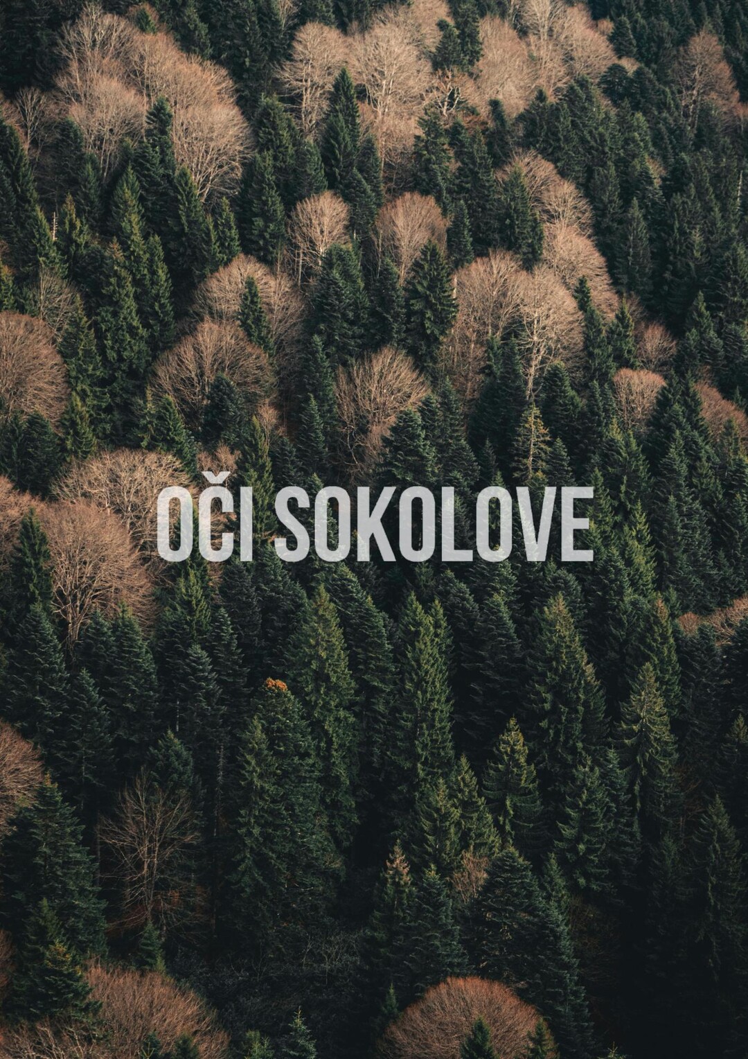 Скриншоты - Oci sokolove