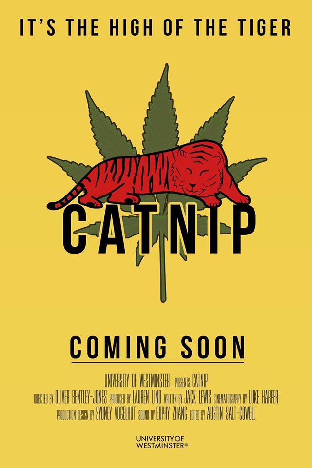 Cast - Catnip (2016)
