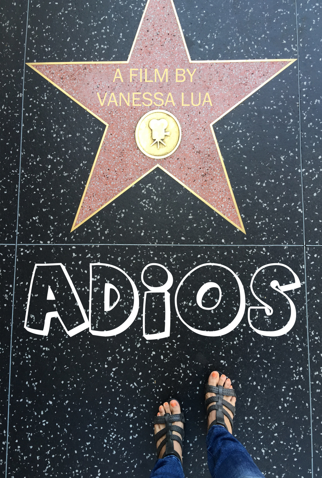 Adios (фильм, 2016)