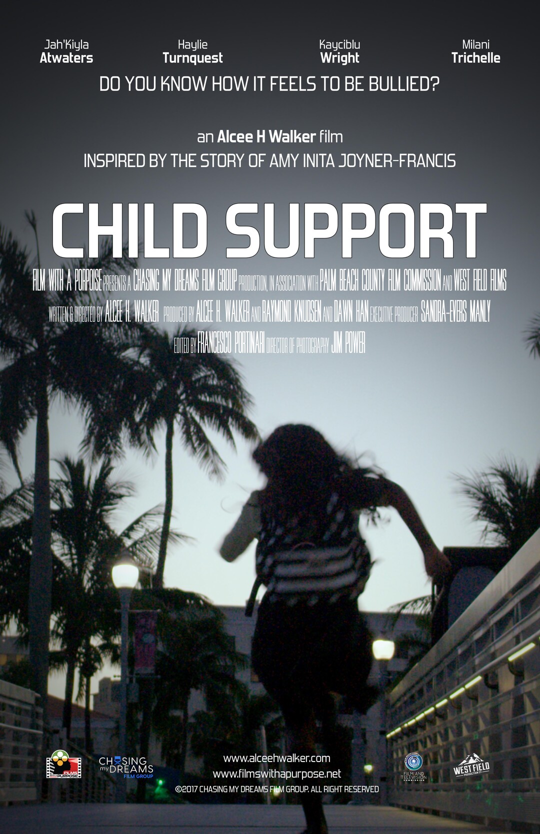 Child Support (movie, 2017)