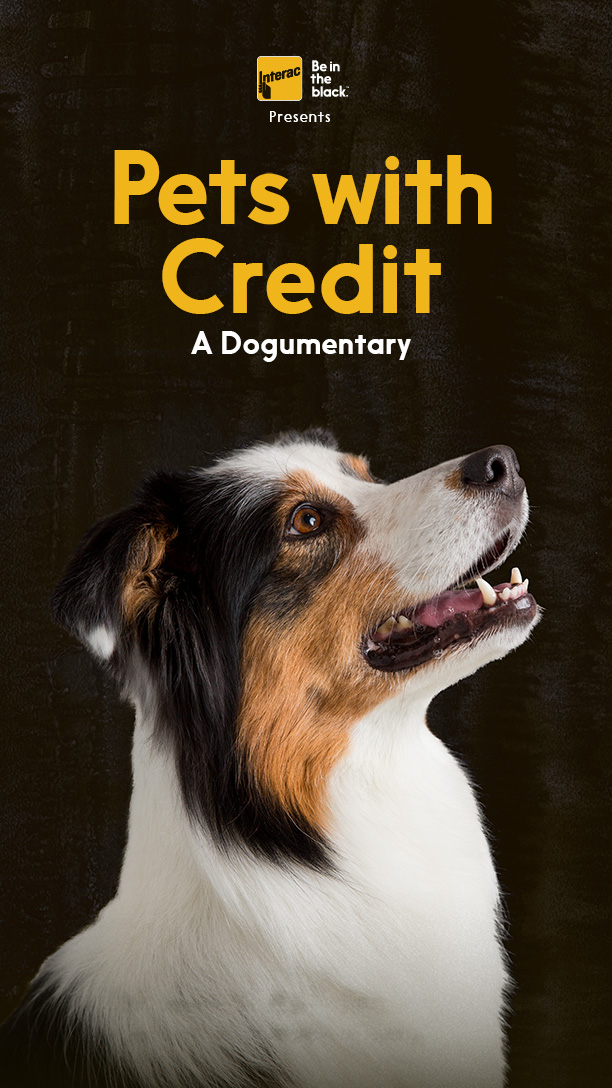 Cast - Pets with Credit: A Dogumentary (2016)