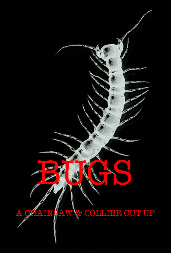 Cast - Bugs (2017)