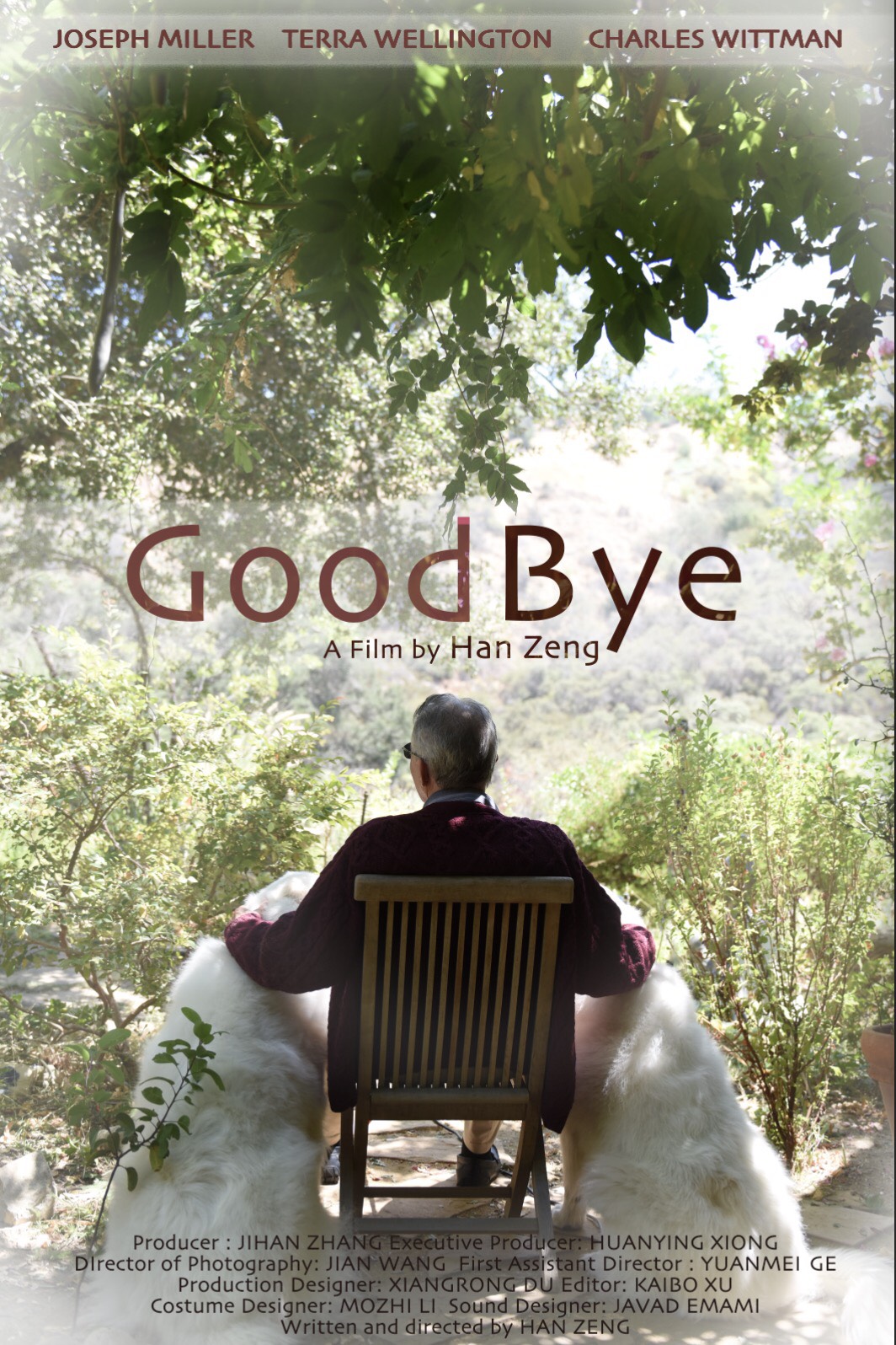 Goodbye (movie, 2018)