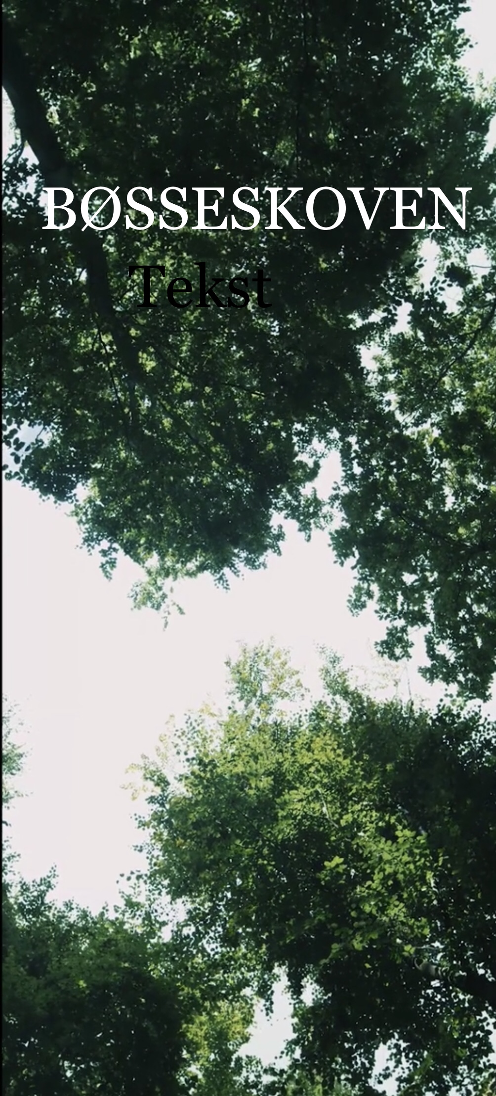 Cast - Bøsseskoven (2016)