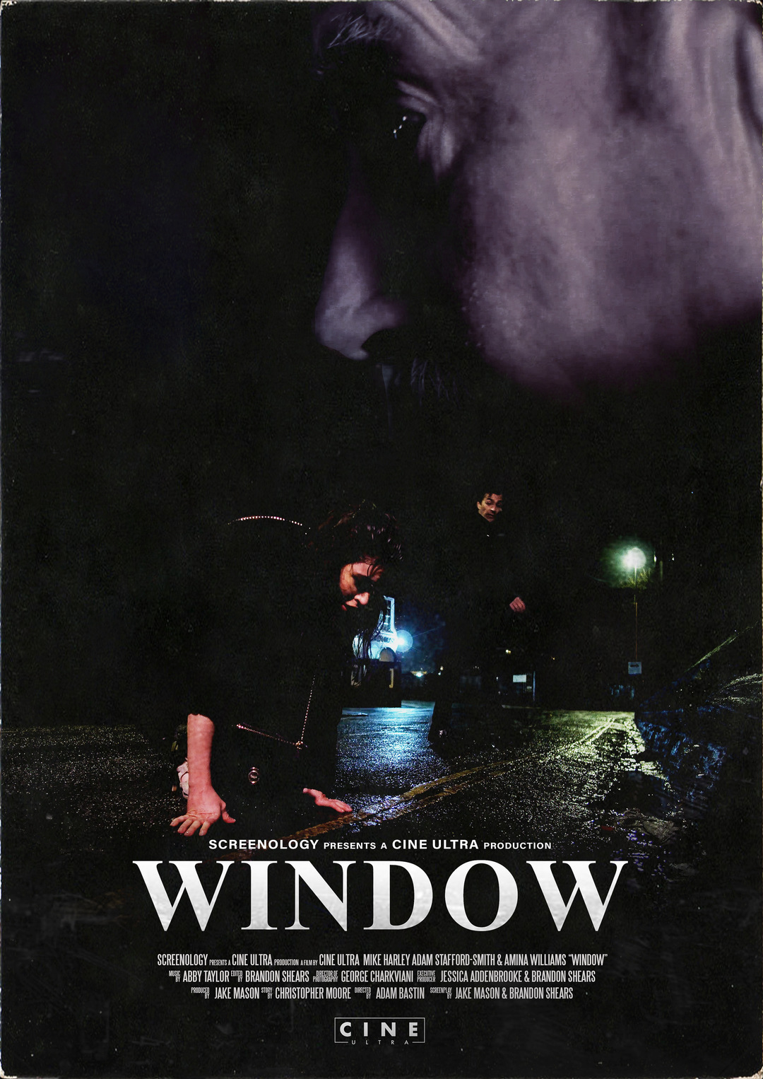 Window (movie, 2019)