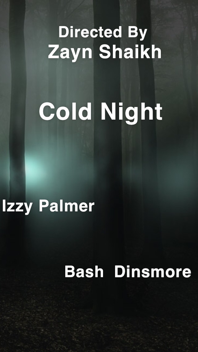 Cold Night (movie, 2019)