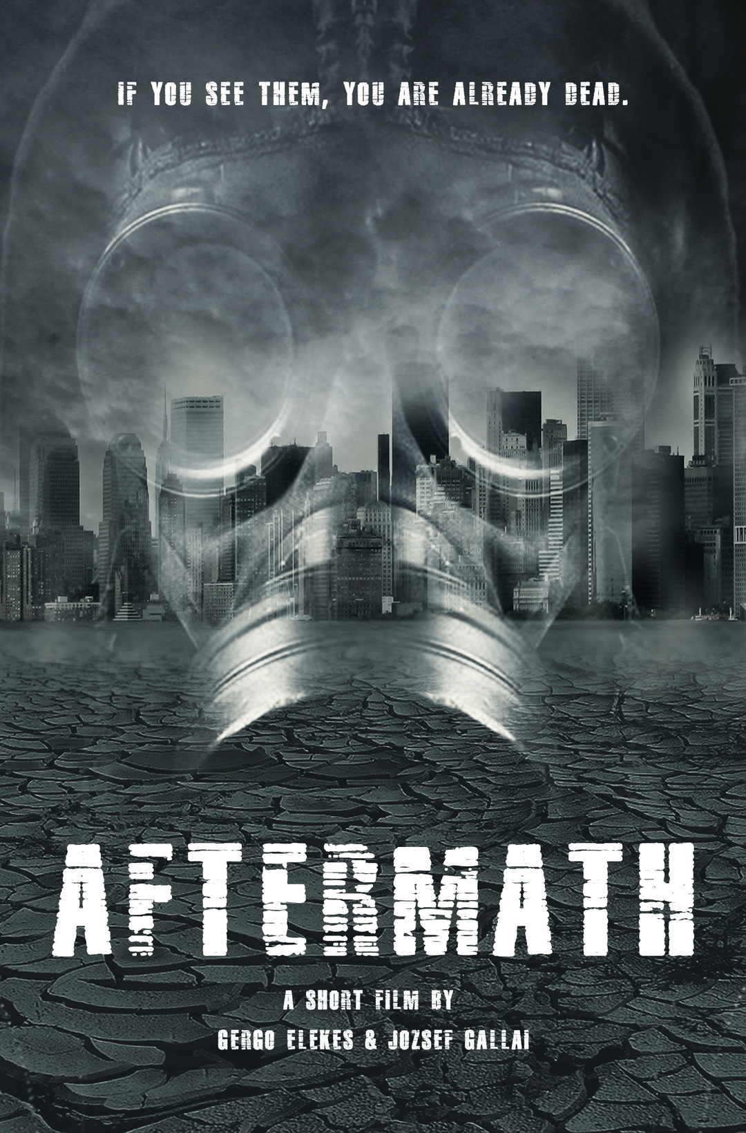 Aftermath Film