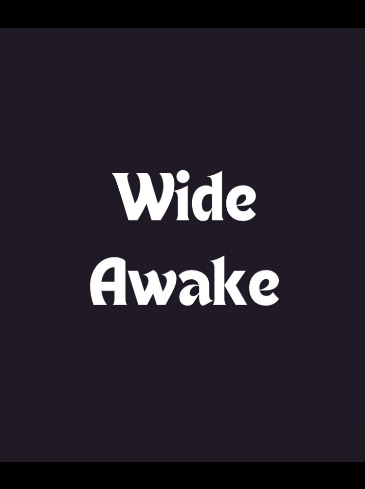 Wide Awake (фильм, 2007)