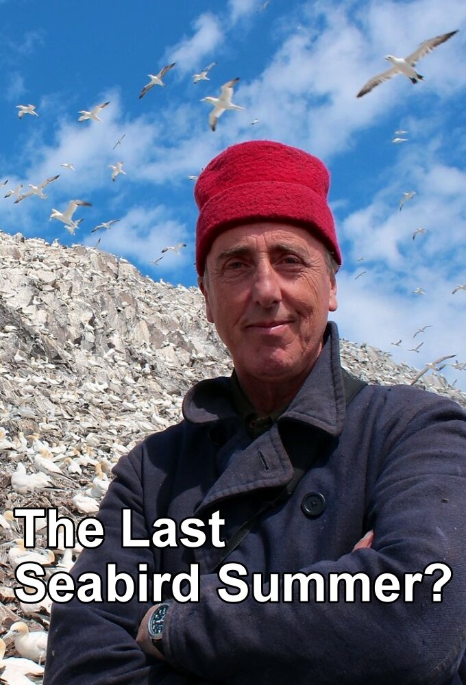 The Last Seabird Summer? (фильм, 2016)