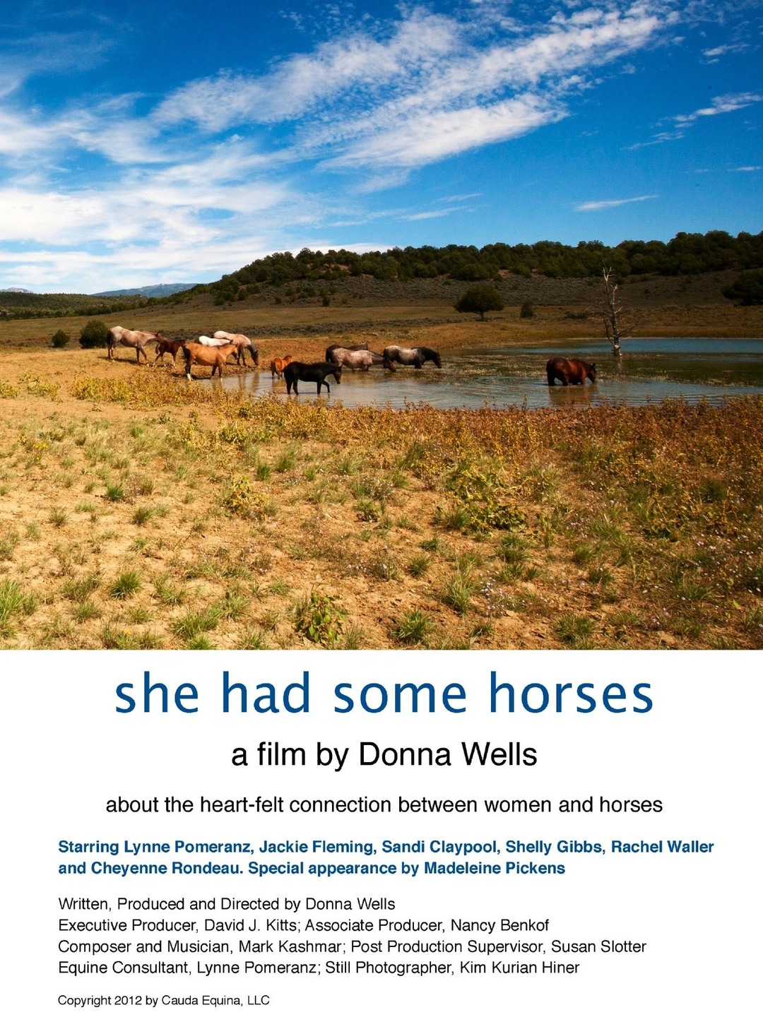 She Had Some Horses (фильм, 2011)
