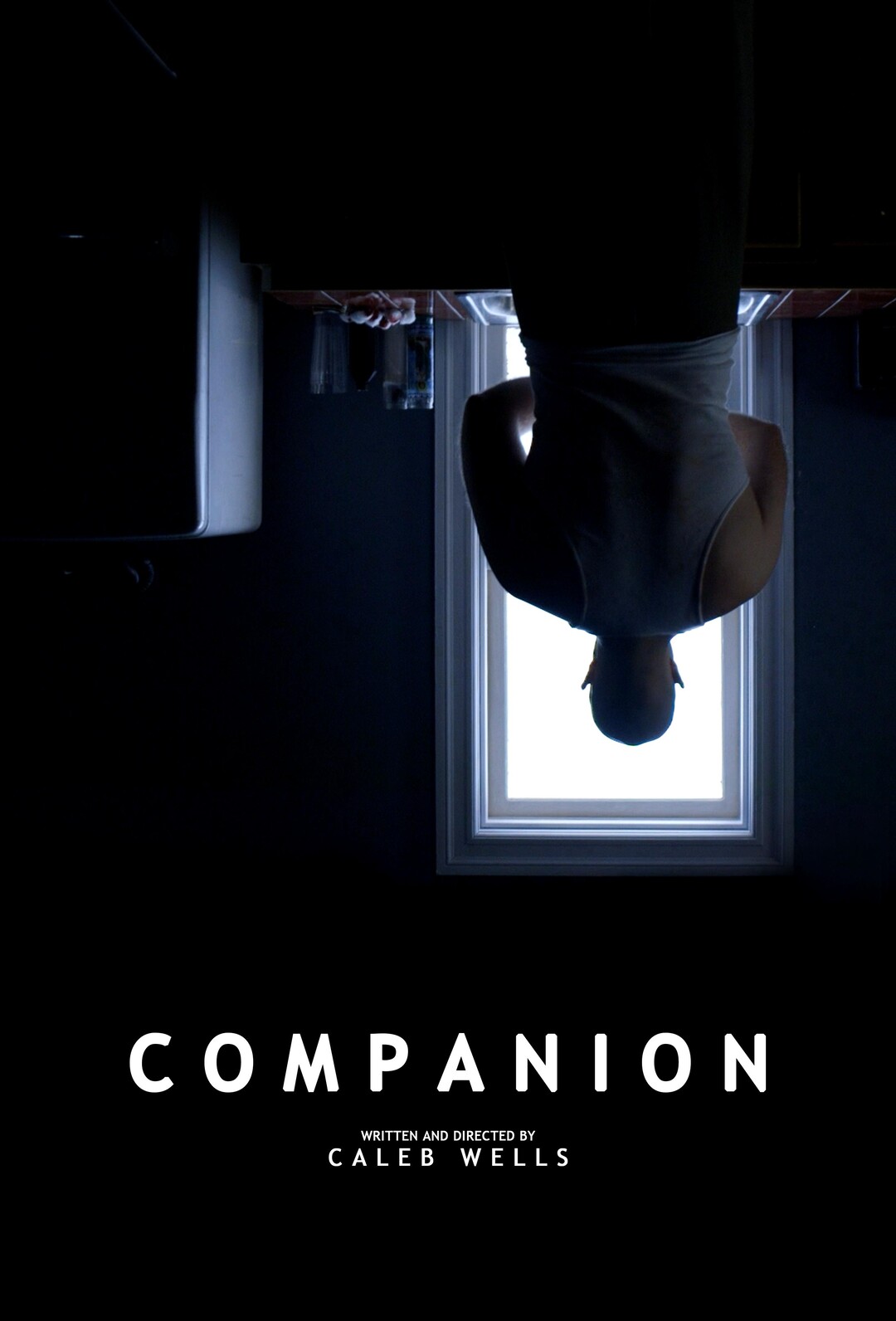 Companion (movie, 2022)