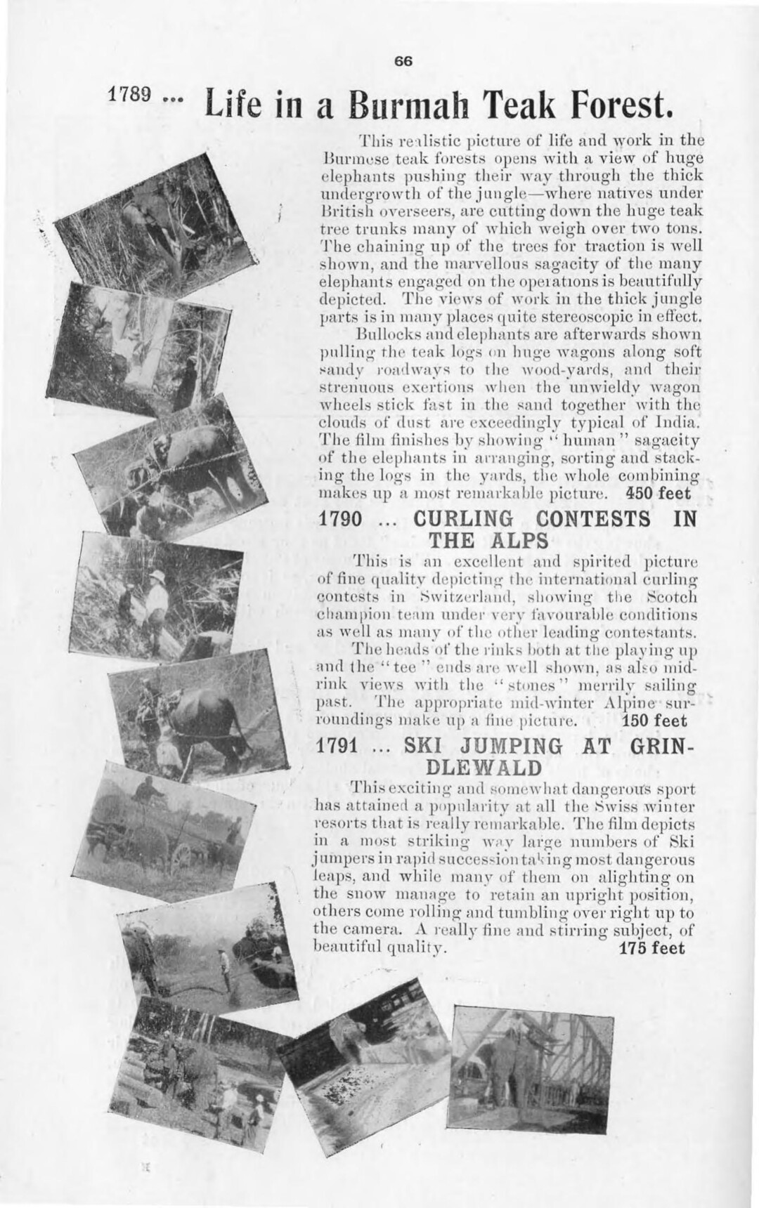 Life in a Burmah Teak Forest (movie, 1907)