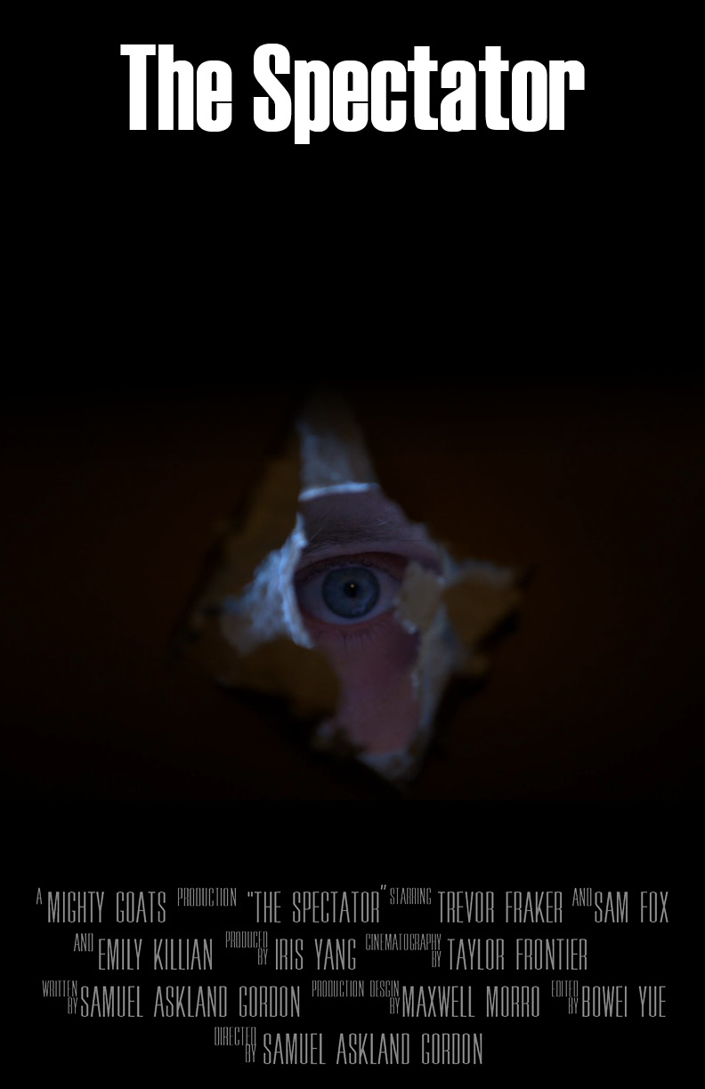 The Spectator (movie, 2017)