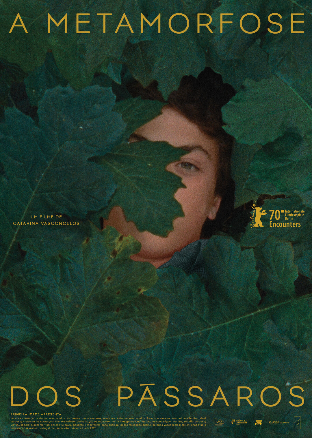 The Metamorphosis of Birds (movie, 2020)