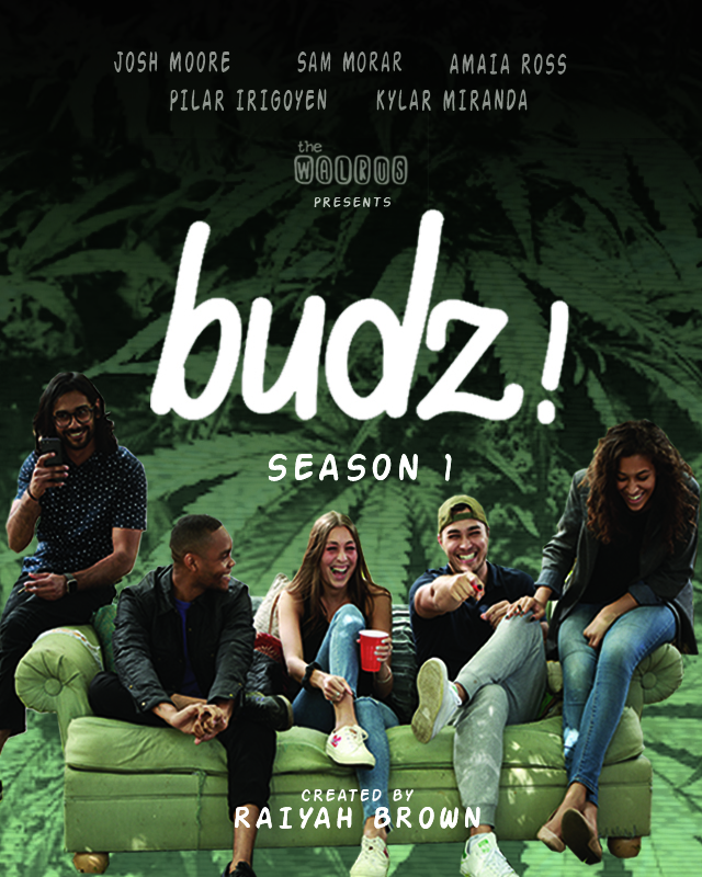 Budz! (сериал, 2017)