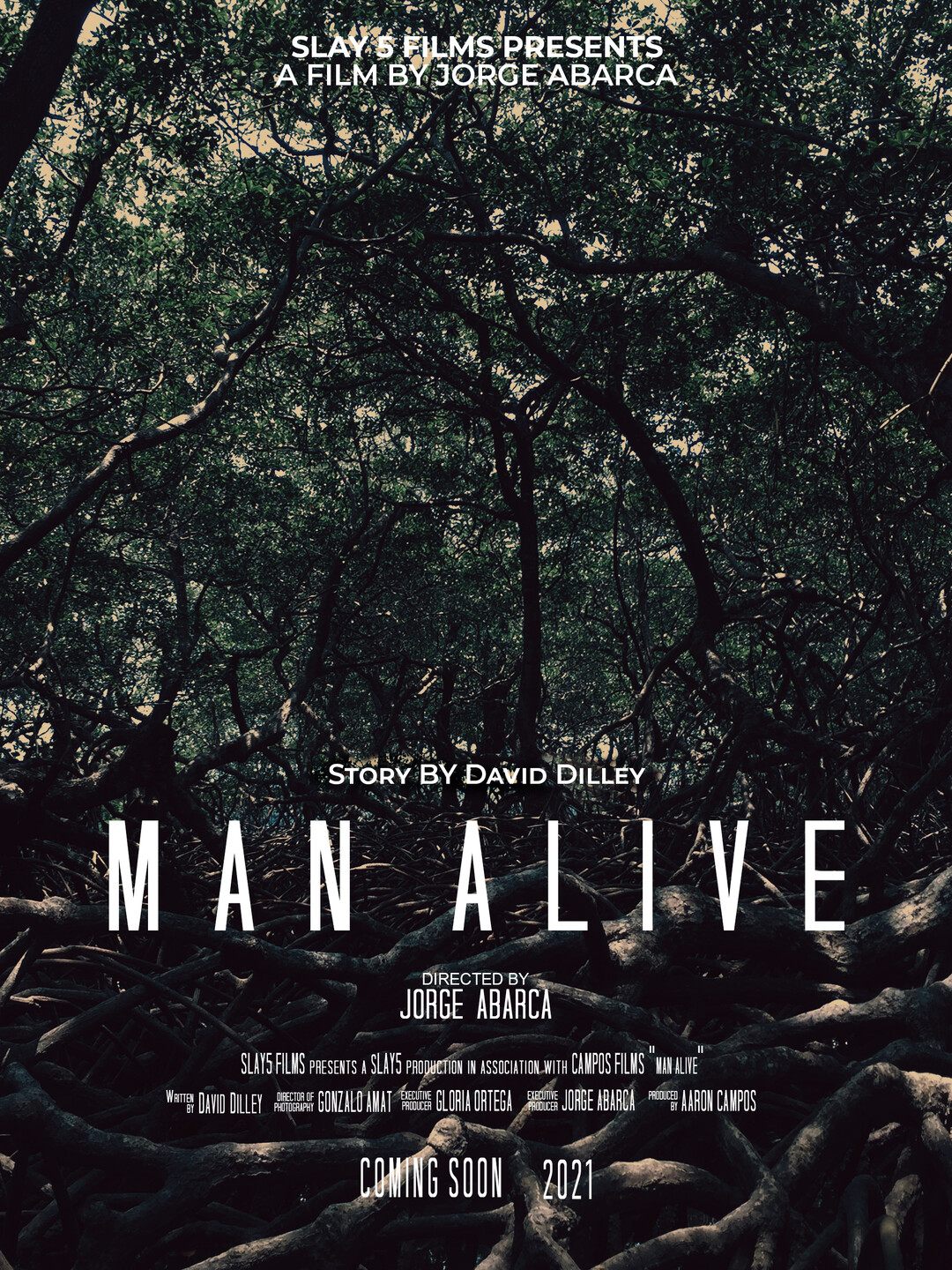 Man Alive (movie)