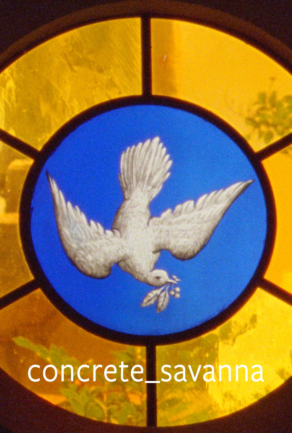 Concrete_savanna (movie, 2021)