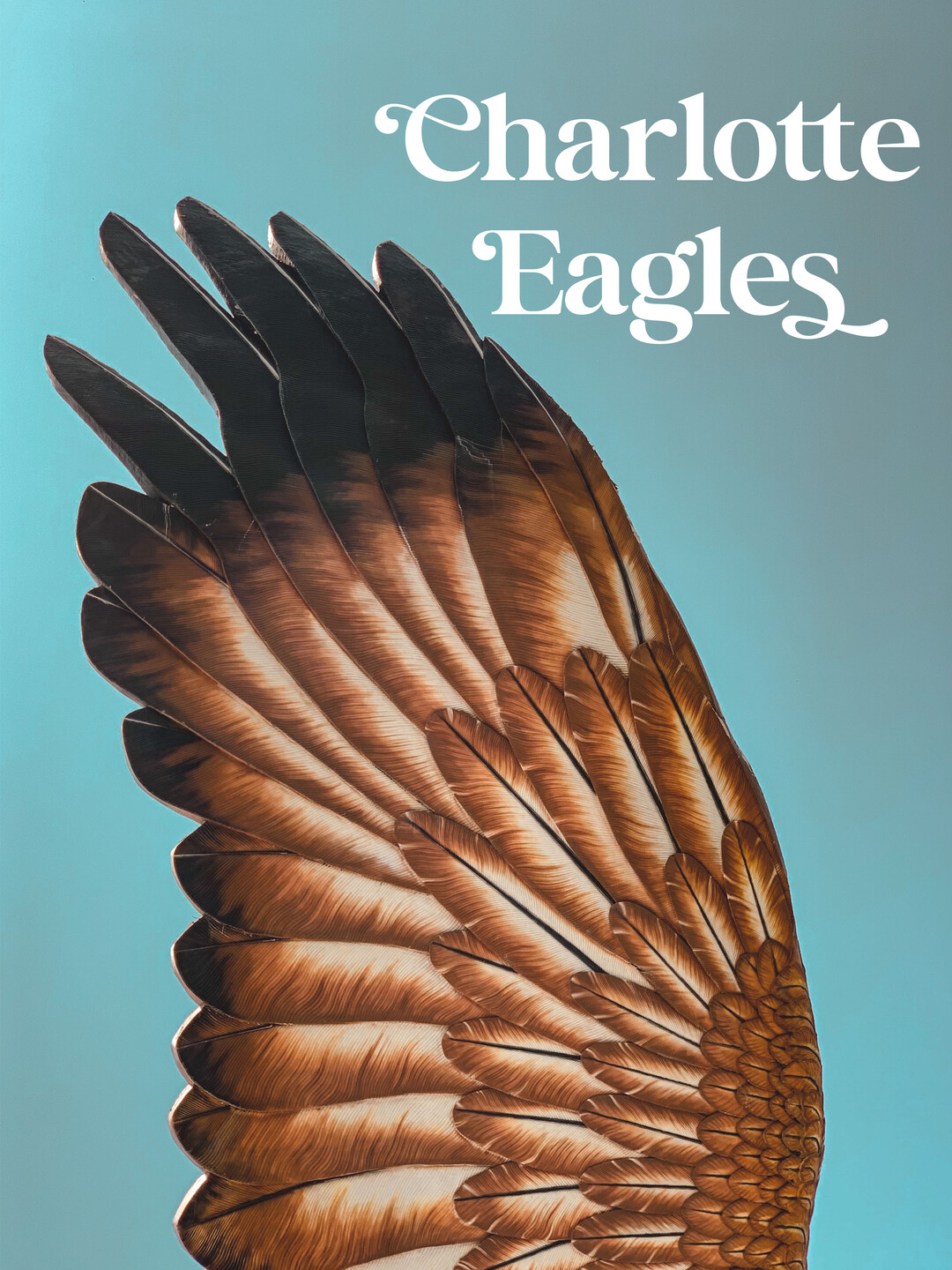 Charlotte Eagles (movie, 2019)