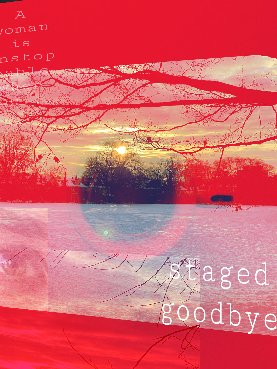Staged Goodbye (movie, 2016)