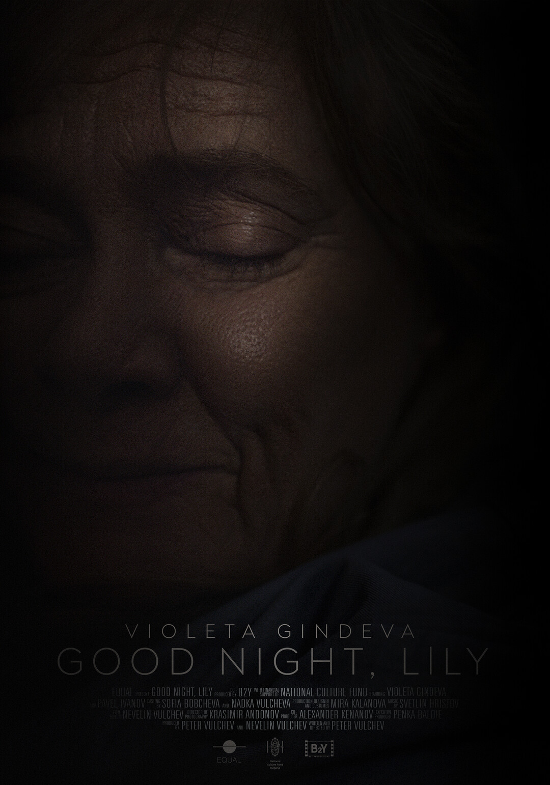 Good Night, Lily (movie, 2021)