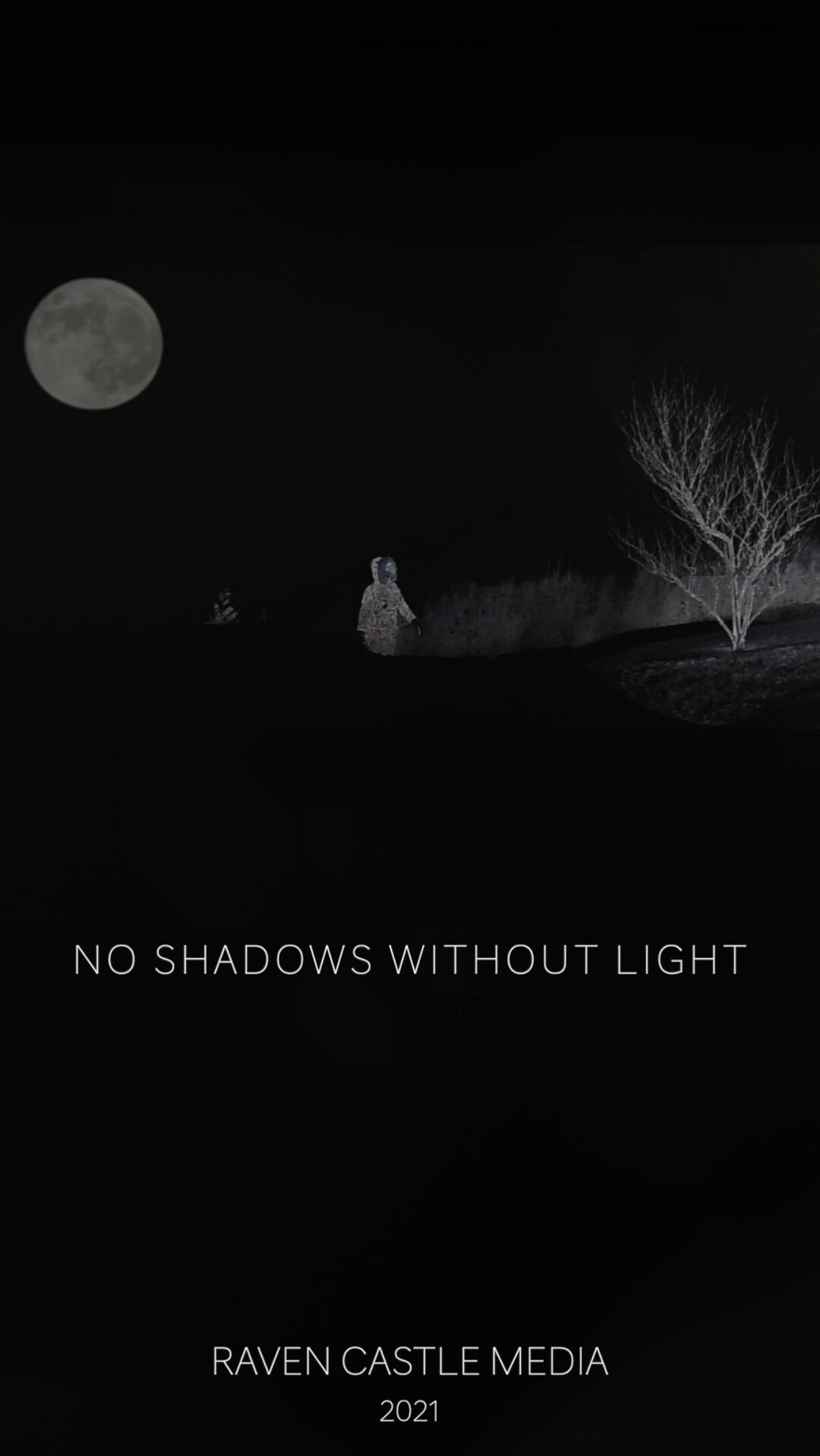 No Shadows Without Light (фильм)