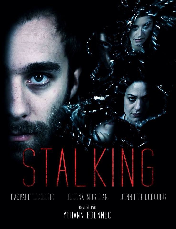 Stalking (фильм, 2013)