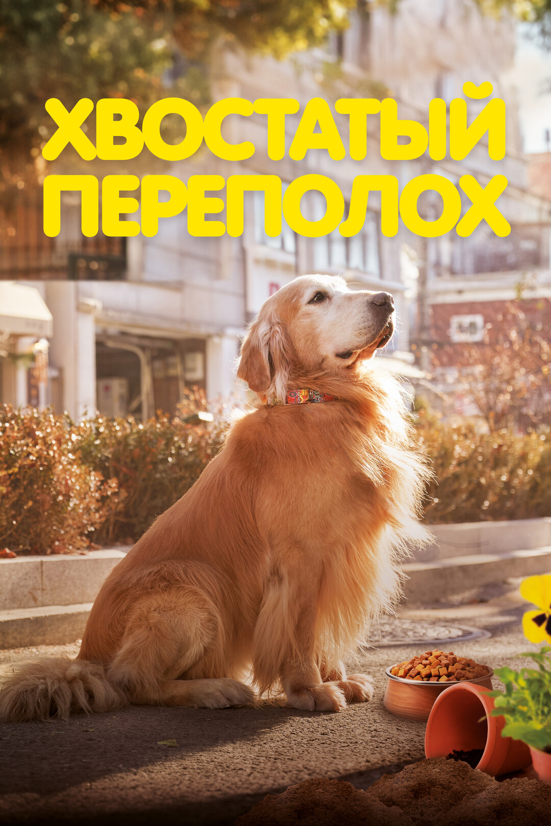 Dog Days (movie, 2024)