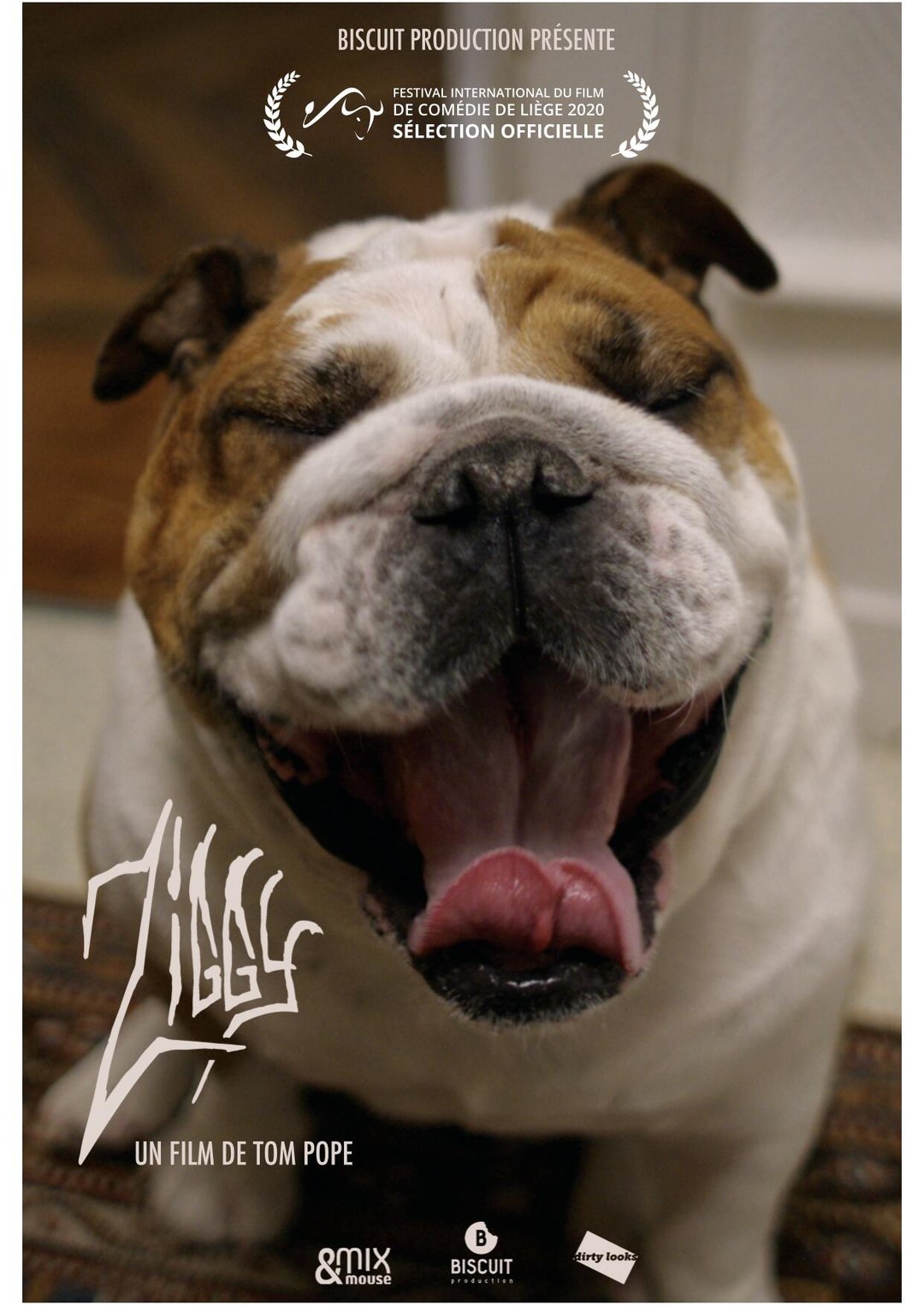 Ziggy (фильм, 2020)