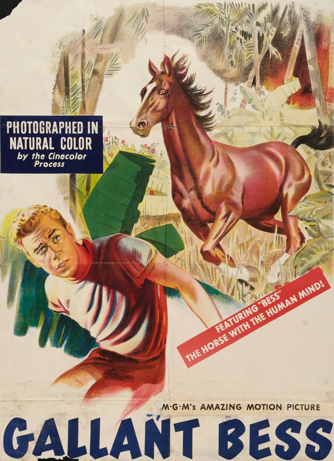 Gallant Bess (movie, 1946)