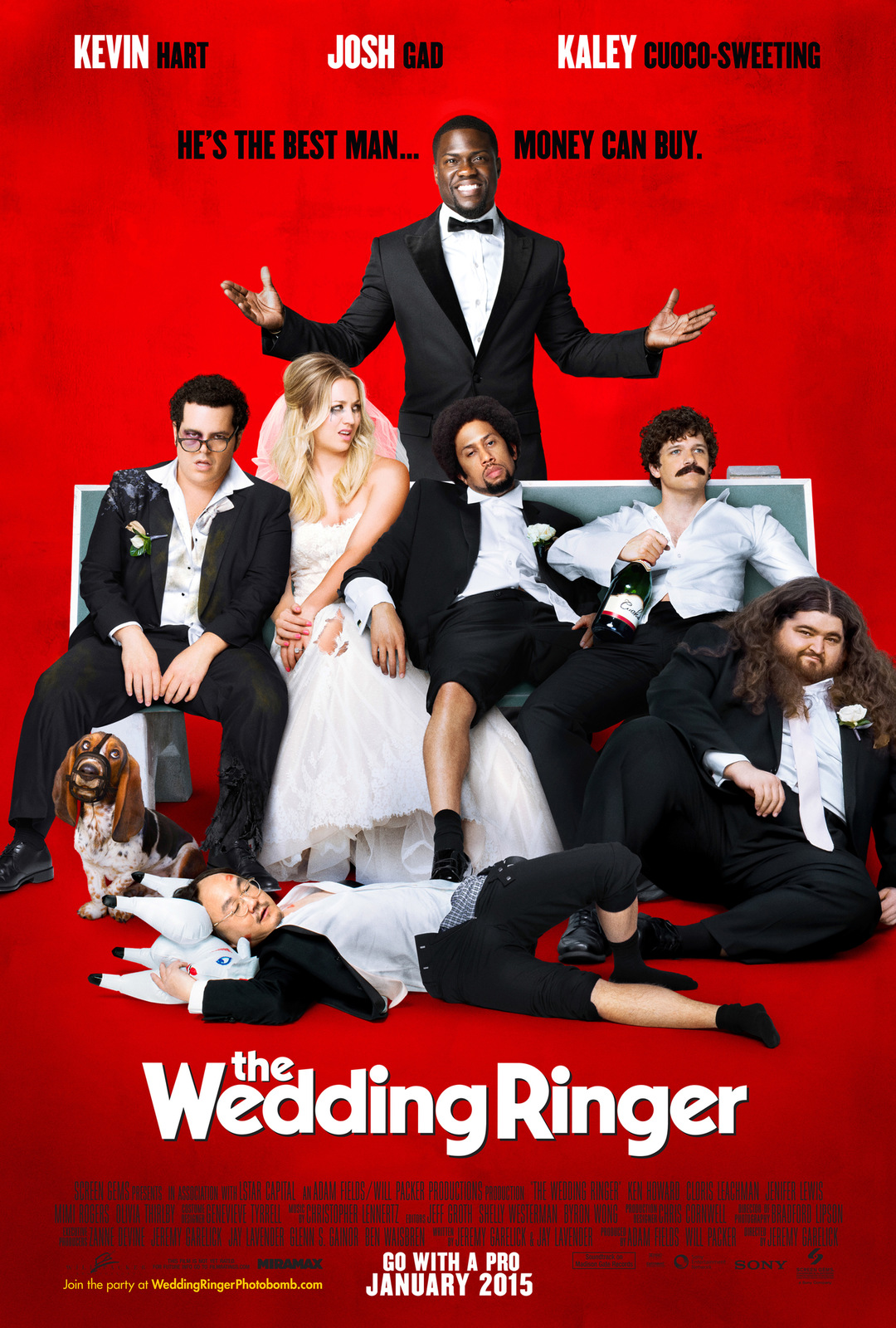 Cast - The Wedding Ringer (2015)