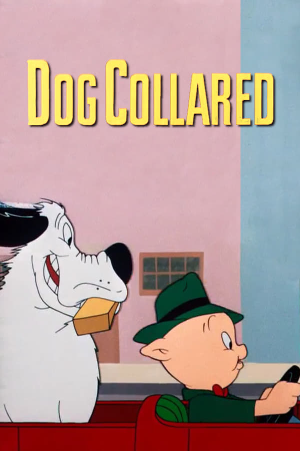 Dog Collared (animation movie, 1950)
