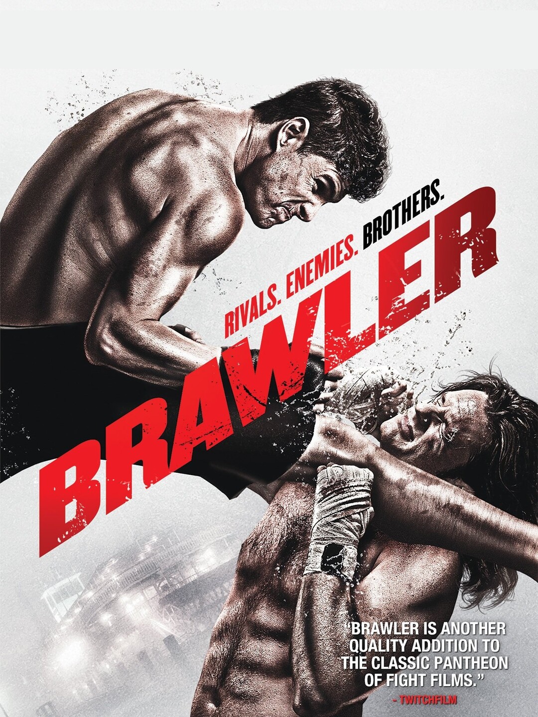 Brawler (movie, 2011)