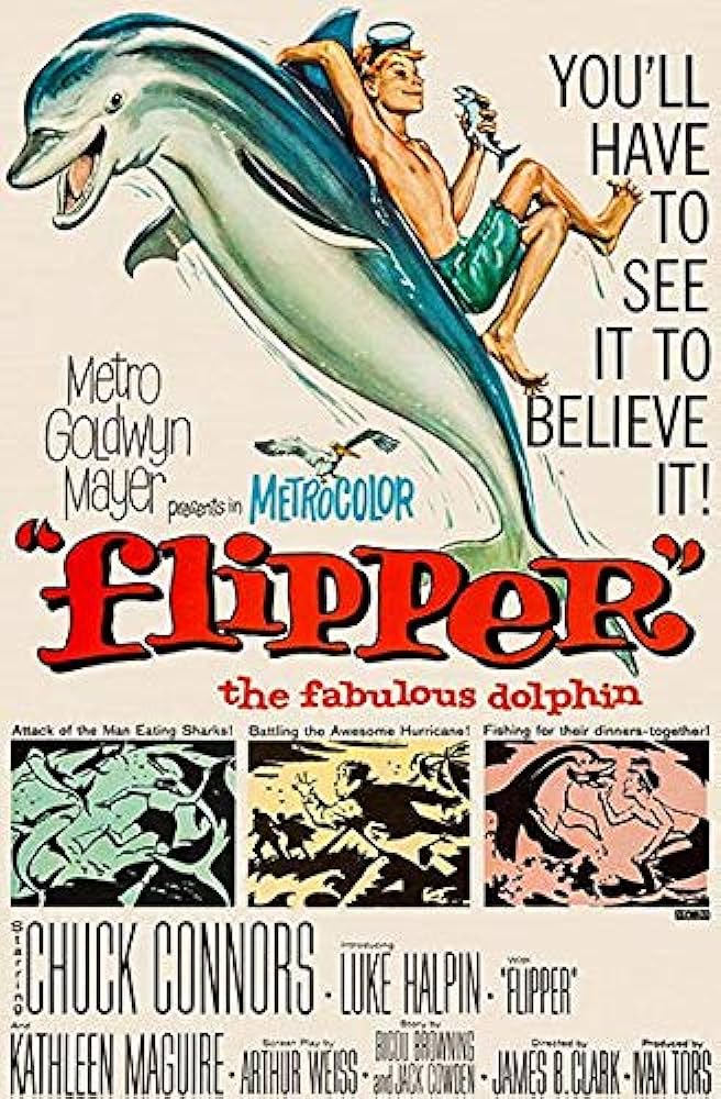 Flipper (movie, 1963)